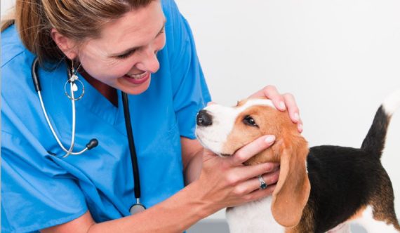 Evolution professionnelle : choisir son avenir