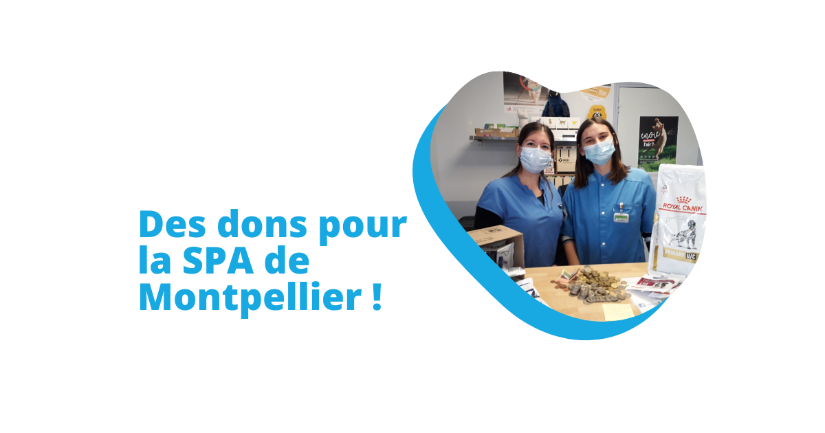 Des dons pour la SPA de Montpellier